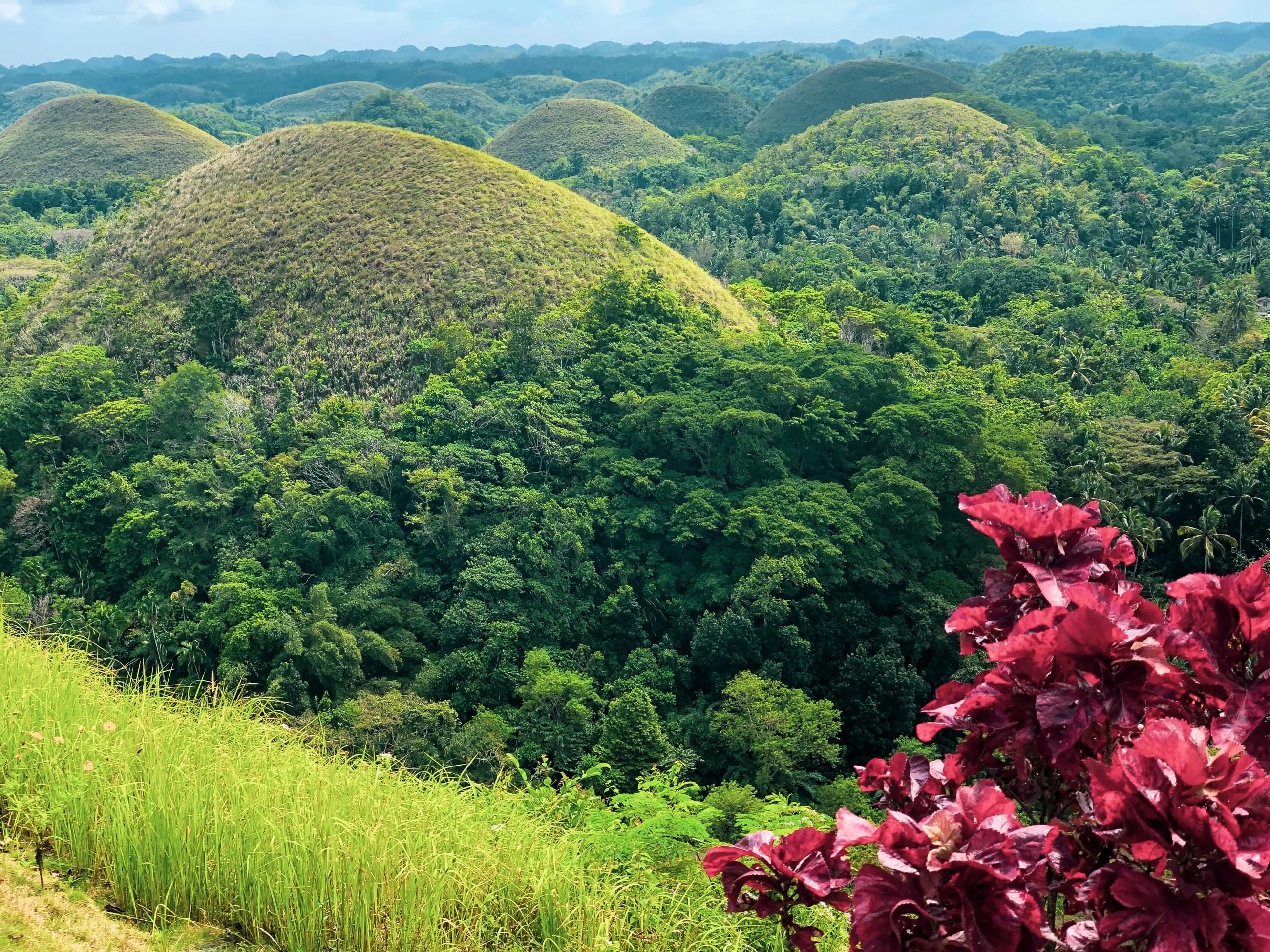 Filipíny - Bohol Adel Polakova